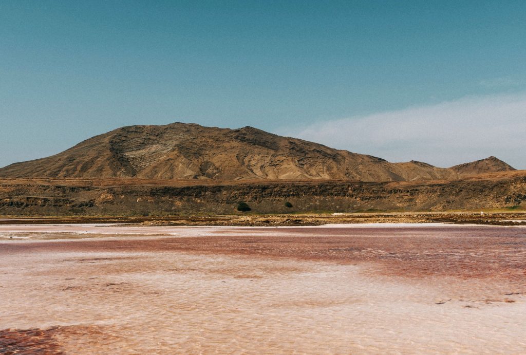 Home - Phoenix Pumps